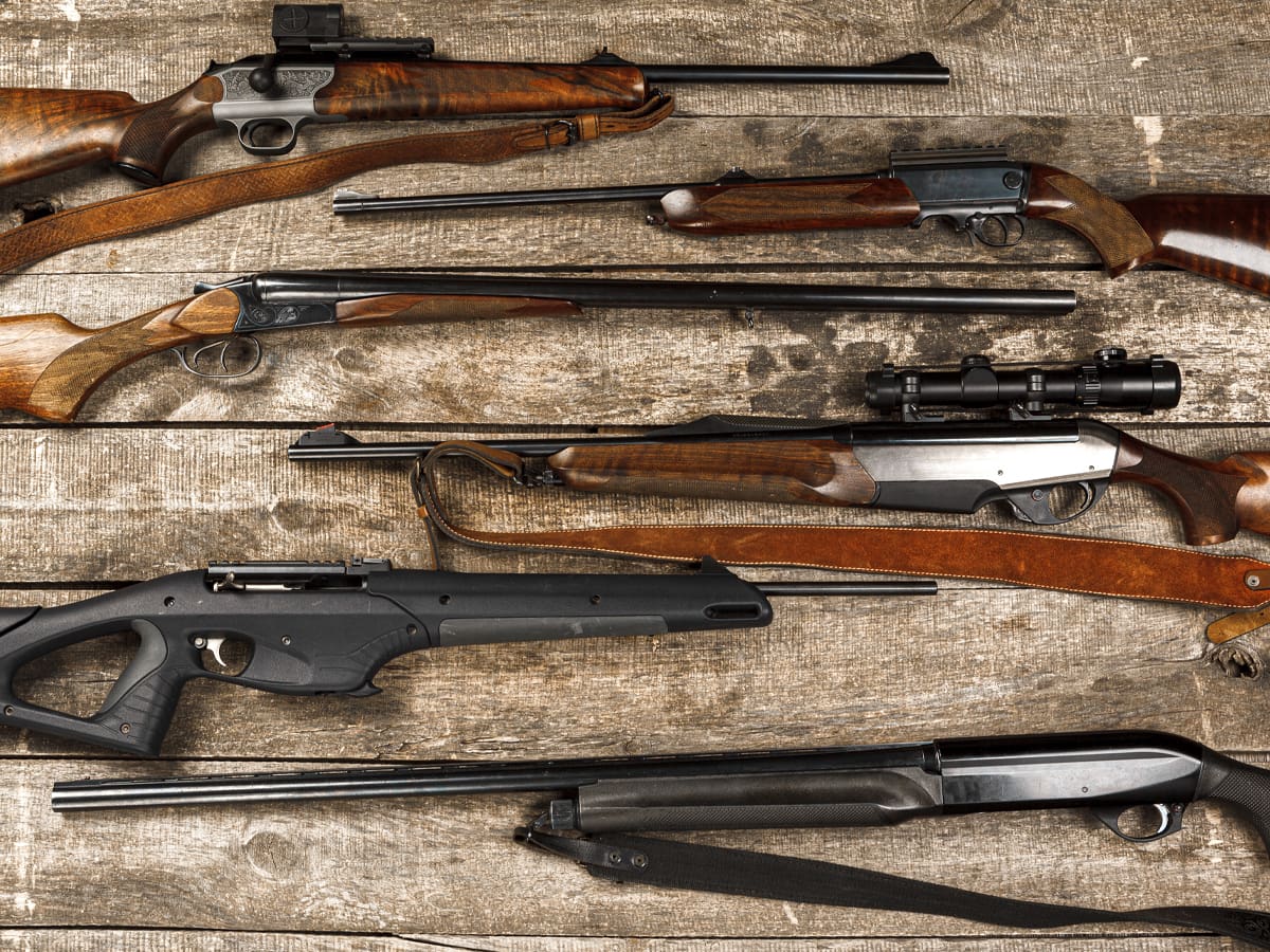 Choosing the Best Bullet for Hunting: A Guide to Bullet Hardness and ...