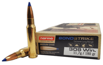 8 Deadly Cartridges for Hog Hunting - Velocity Ammunition Sales